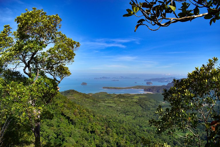 Dragon Crest Mountain Krabi: hiking guide (2026 guide) - Career Gappers